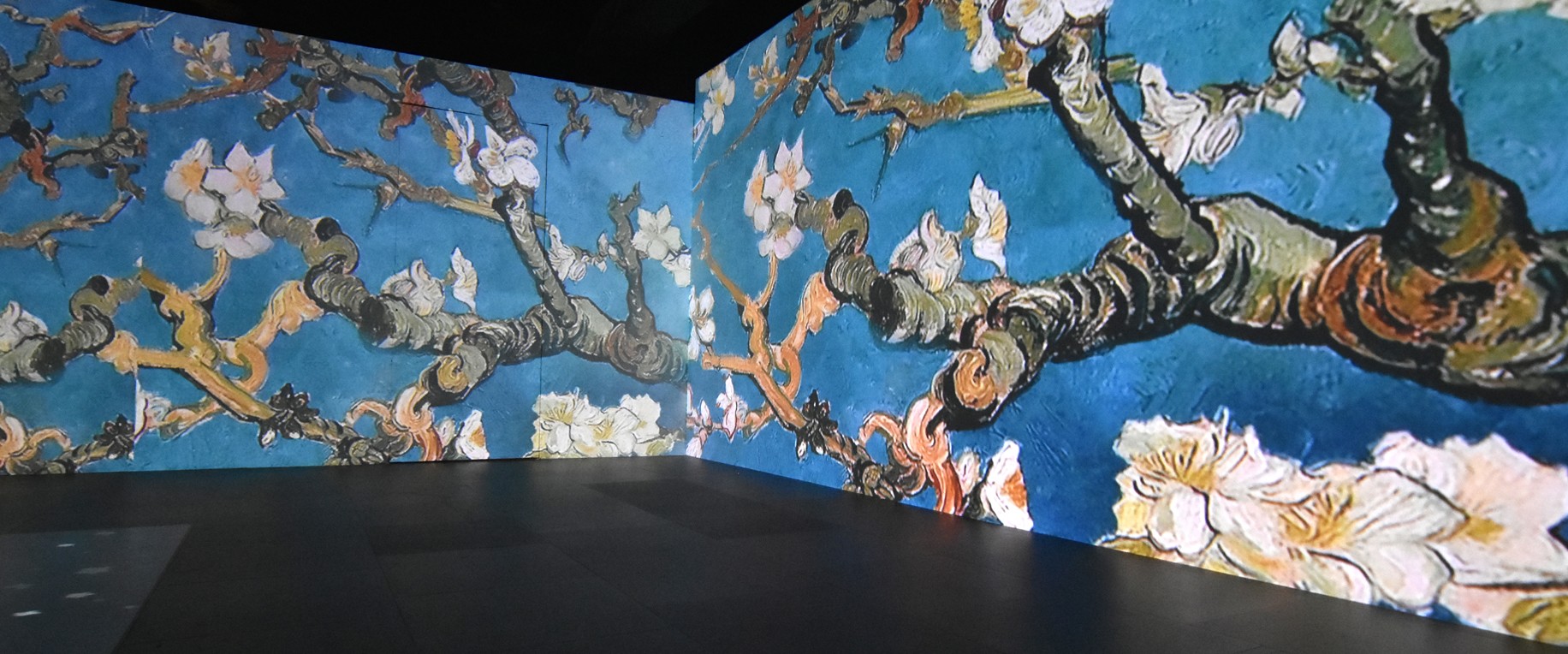 Last month for Van Gogh: Life and Art! — RIVER CITY BANGKOK