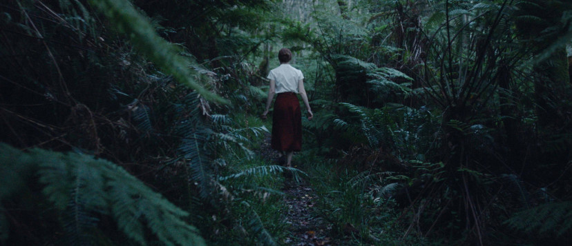 RCB Film : ‘TOORBOS’ (‘DREAM FOREST’) — RIVER CITY BANGKOK