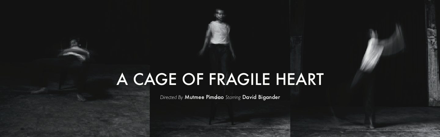 RCB Experimental Art Lab: A Cage of Fragile Heart — RIVER CITY BANGKOK
